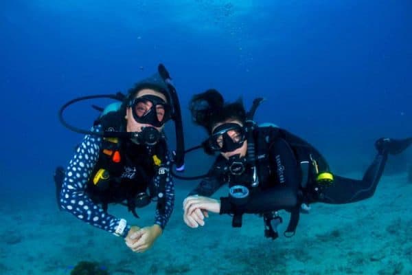 The Best Diving in Cuba - Katy Jane Dives