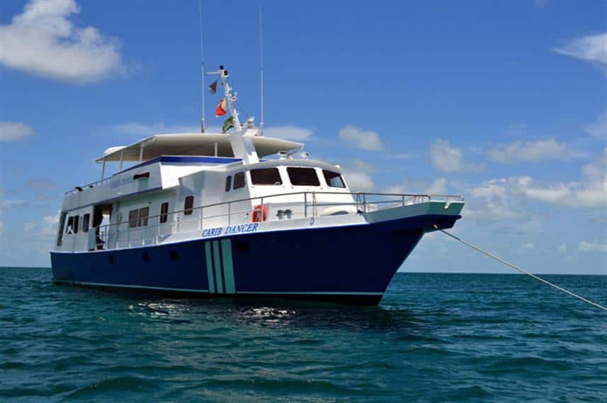 Best Bahamas Liveaboard - My 2024 Review & Dive Guide