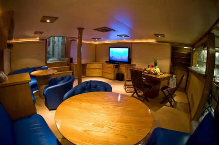 Best Bahamas Liveaboard - My 2024 Review & Dive Guide