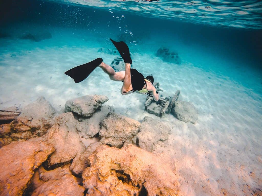 Best Bahamas Liveaboard - My 2024 Review & Dive Guide