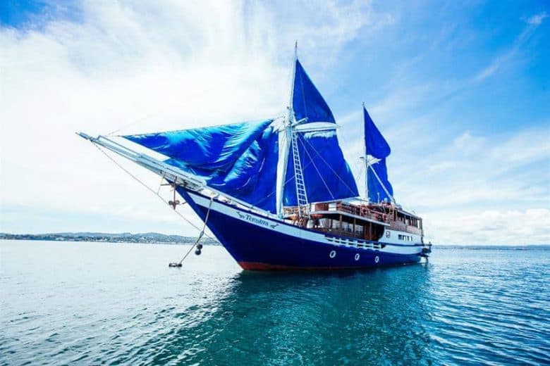 Best Indonesia Liveaboard – 2023 Review & Dive Spots Katy Jane Dives ...