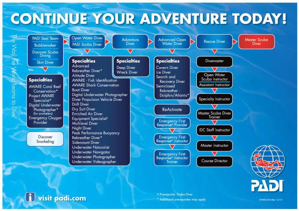 How to Become a Dive Instructor