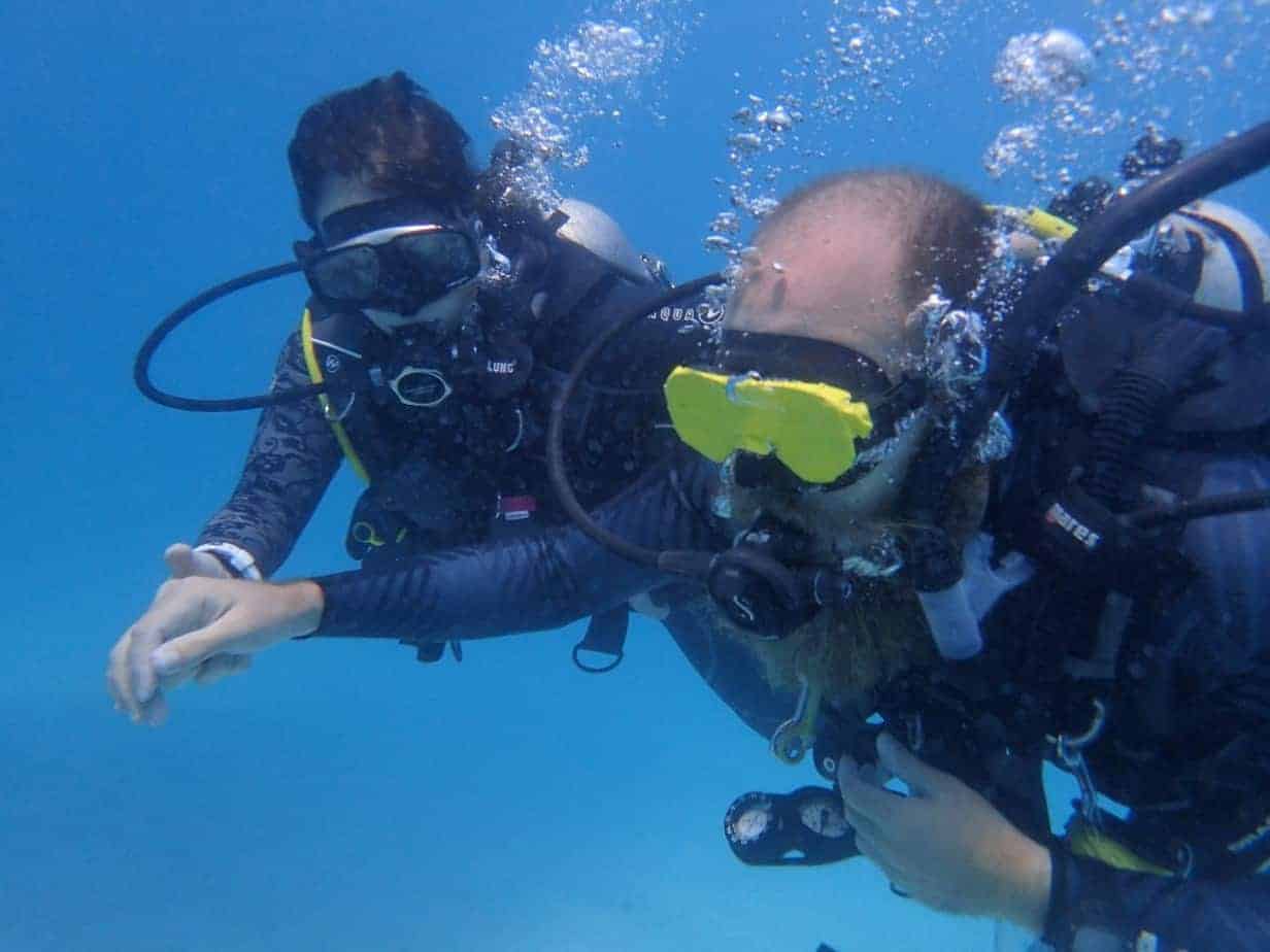 Dive Instructor Salary - How Much Does a Dive Instructor Earn?