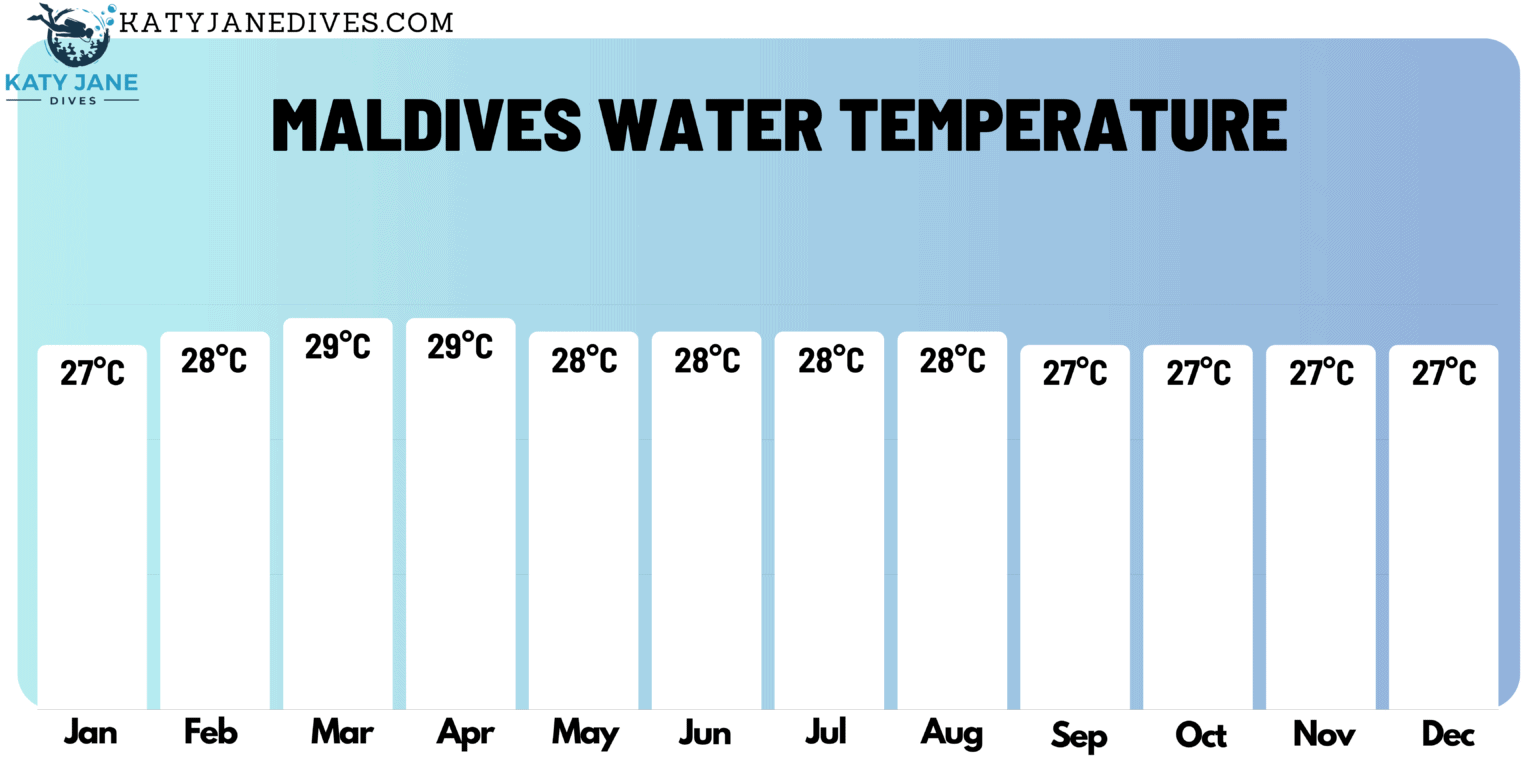 Best Maldives Liveaboard Diving in 2026