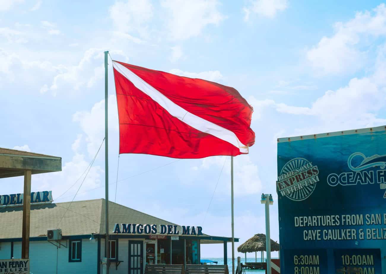 What does a diver-down flag look like? Katy Jane Dives KatyJaneDives