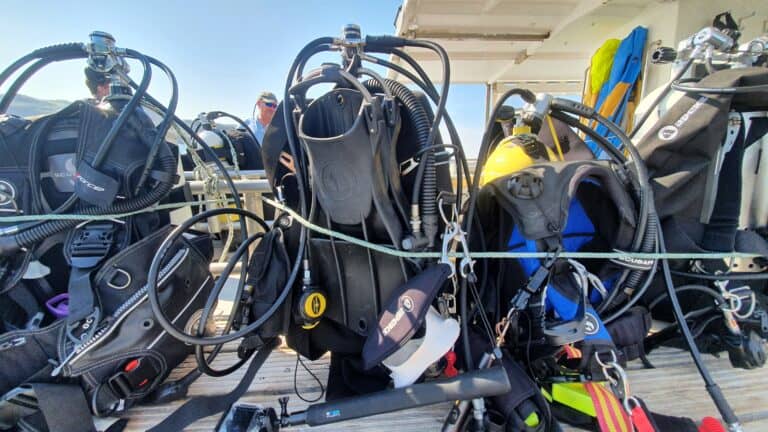 Diving With Seals at Lundy Island - Katy Jane Dives