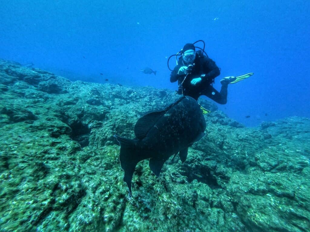 Diving Wetsuit Thickness Guide: How to Choose