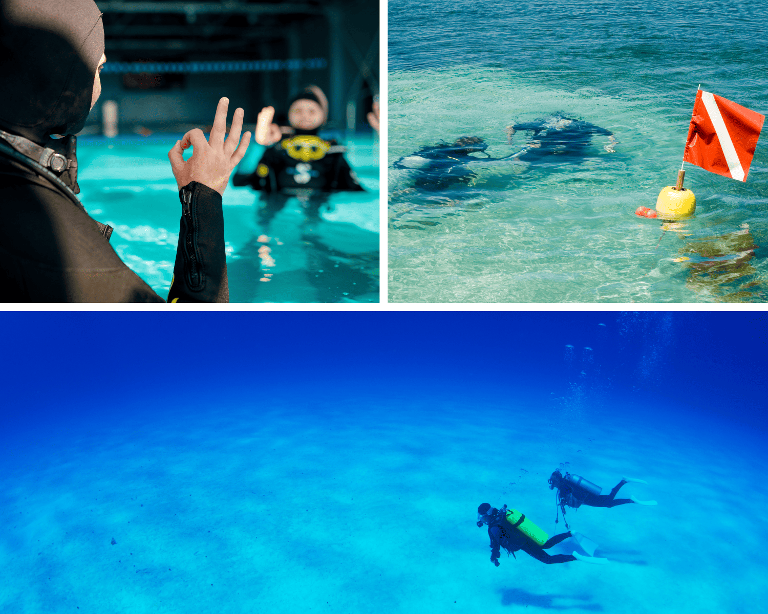 Best Scuba Diving Insurance Katy Jane Dives KatyJaneDives