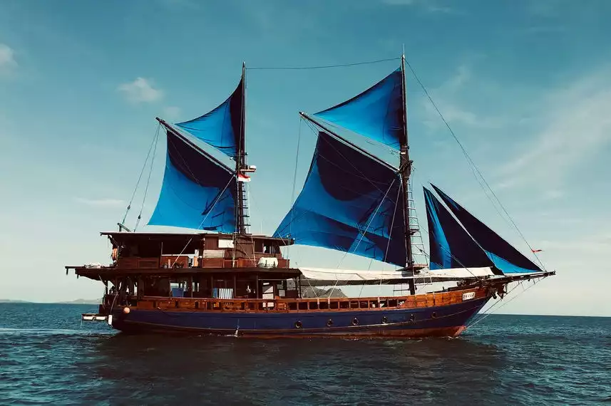 Best Indonesia Liveaboard – 2024 Review & Dive Spots