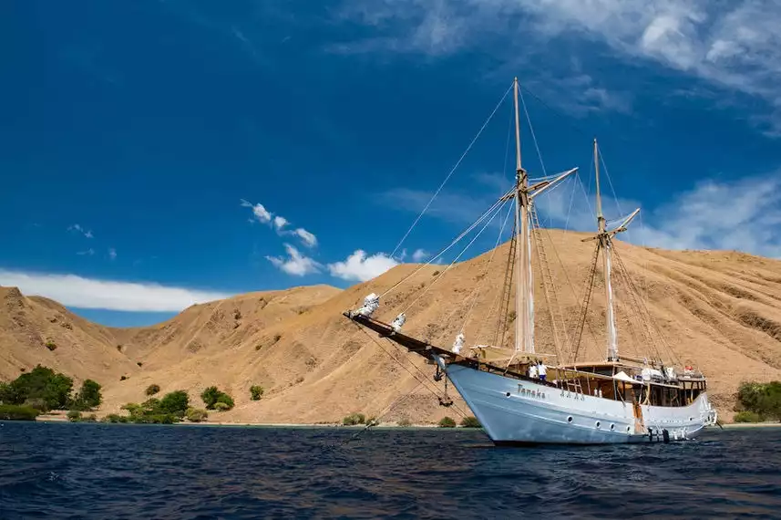 Best Indonesia Liveaboard – 2024 Review & Dive Spots