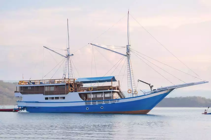Best Indonesia Liveaboard – 2024 Review & Dive Spots