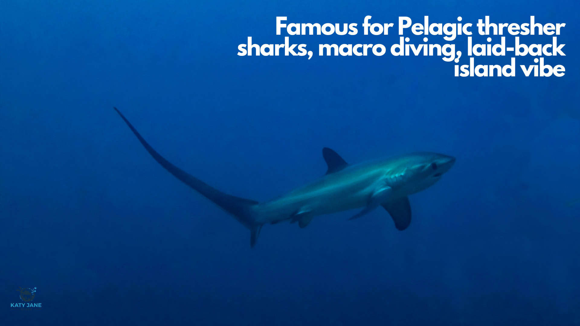 7 Ultimate Philippine Dive Sites That Will Blow Your Mind